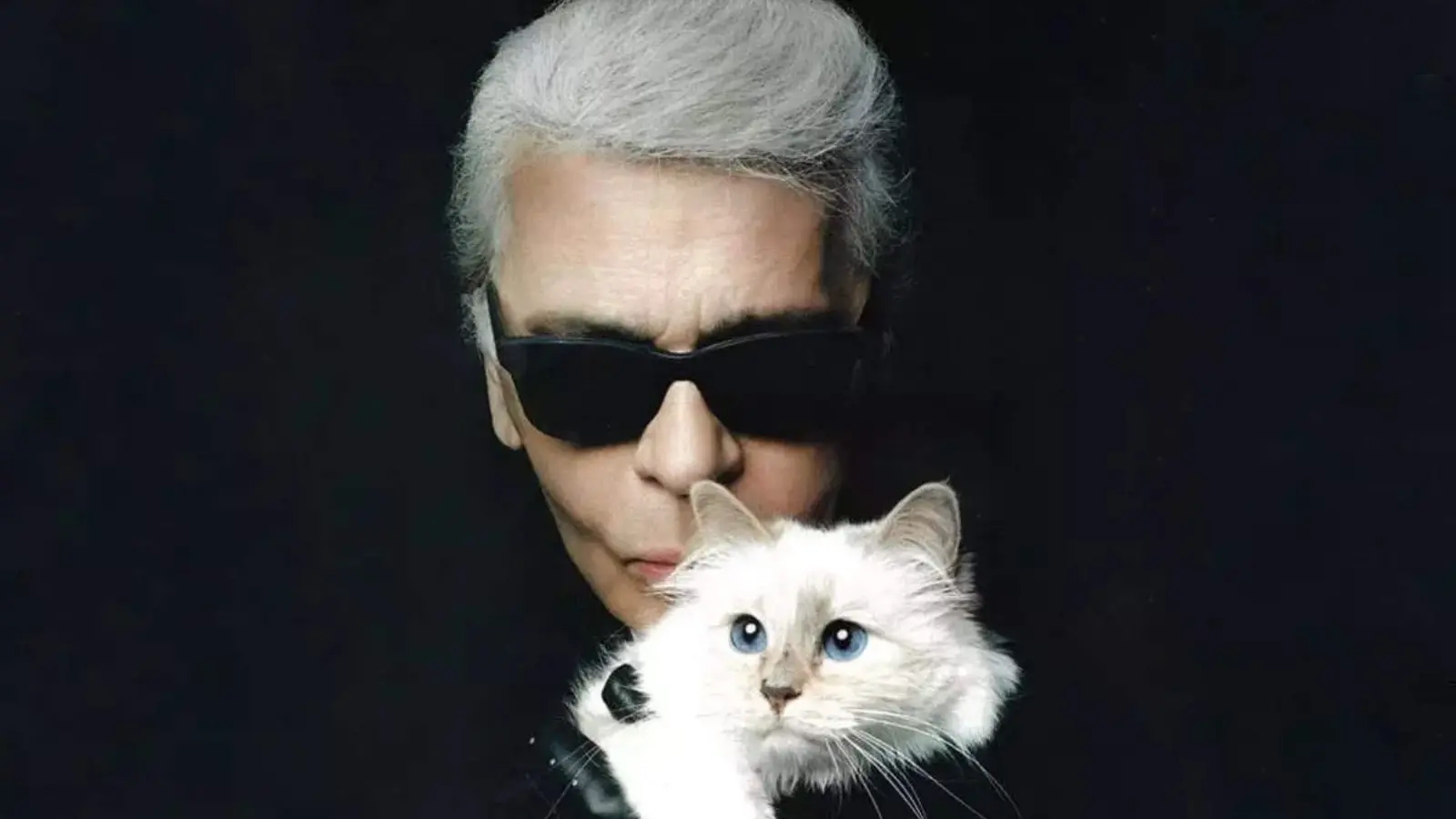 Choupette The Cat: Everything You Need To Know About Karl Lagerfeld's ...